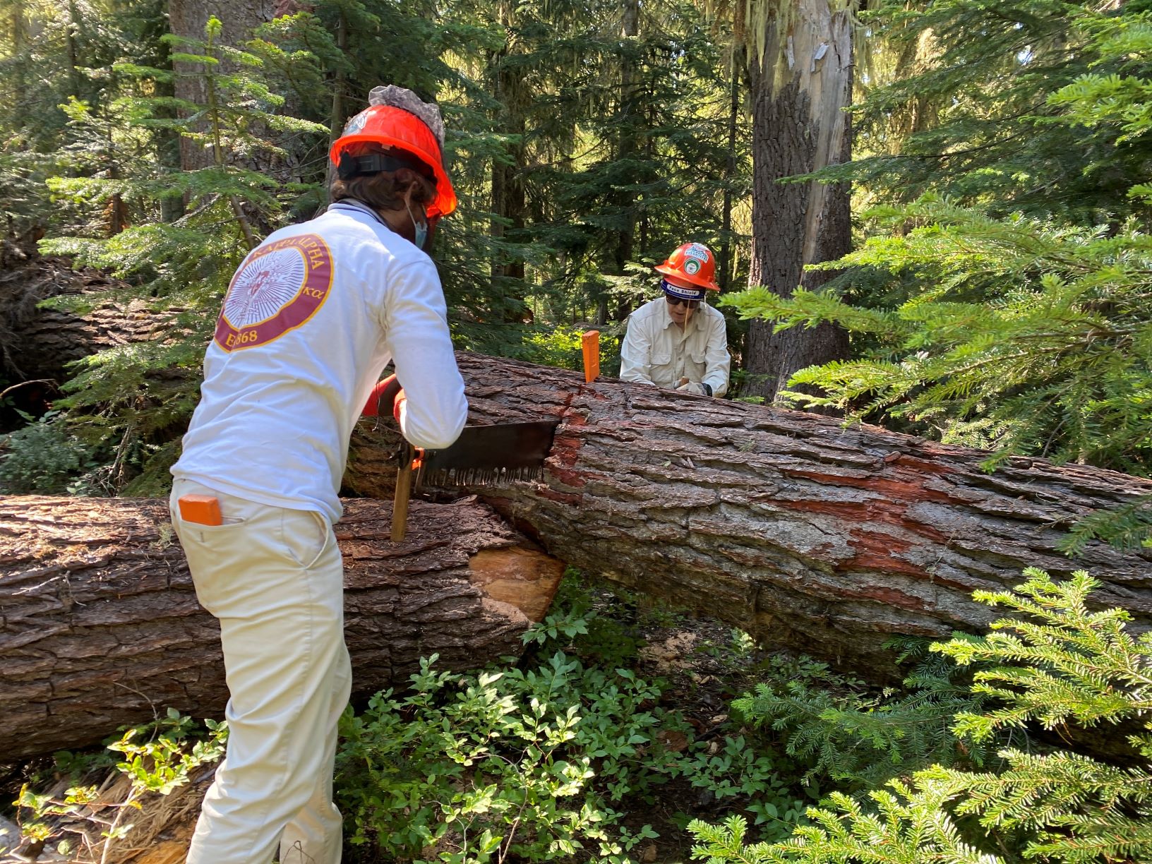 BECOMING A TRAIL WORKER | Boreal B[l]og